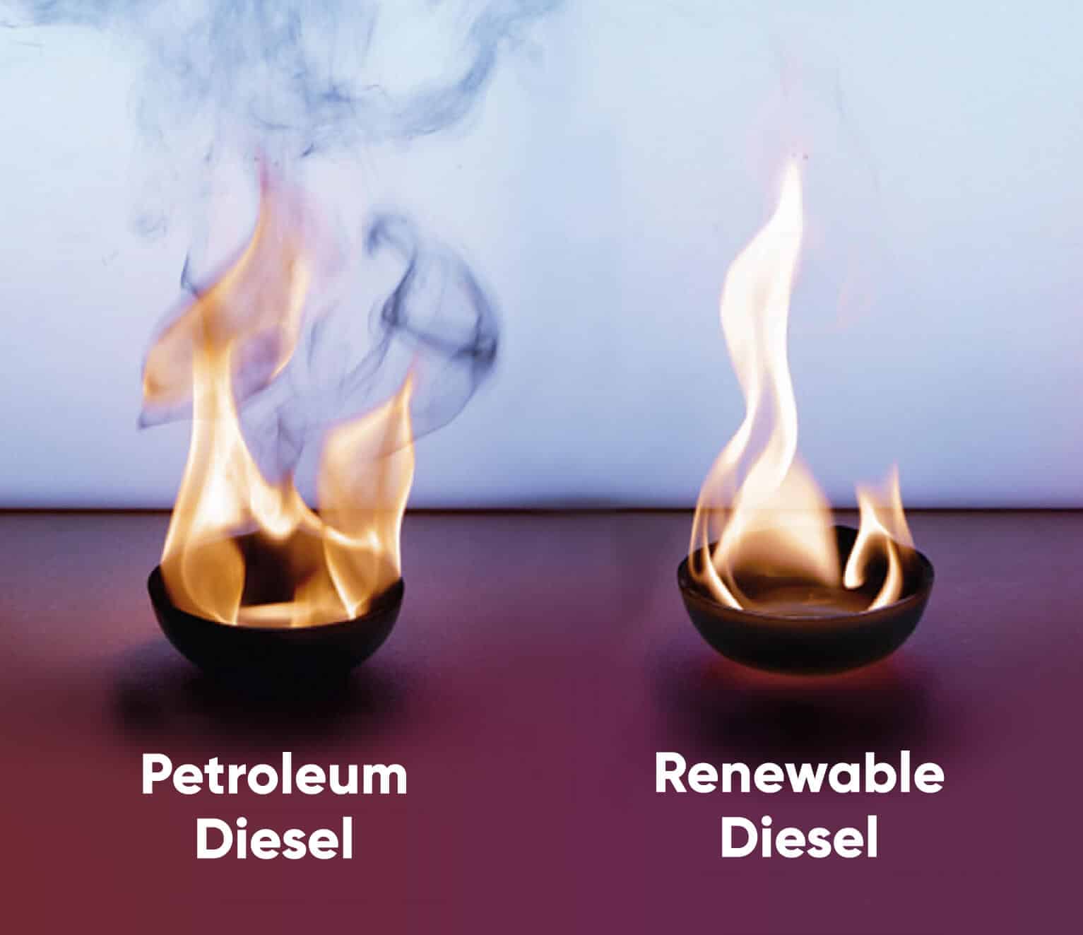 Renewable Diesel - Wilcox + Flegel